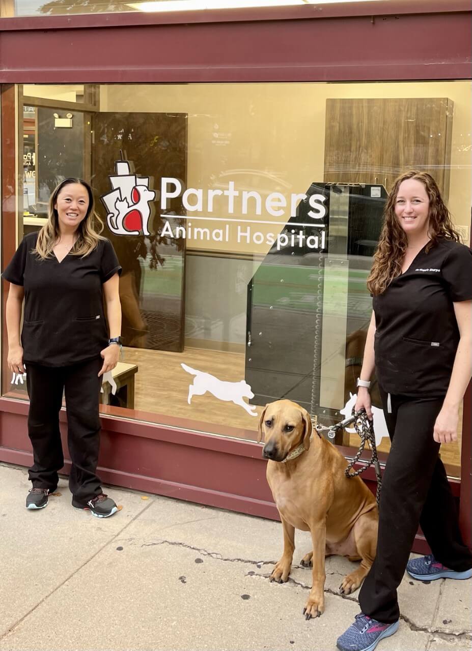 Benefits for Our Valued Team | Partners Veterinary Group